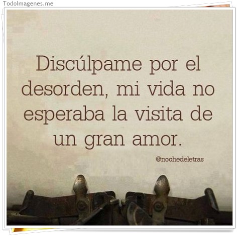 Discúlpame por el desorden,mi vida no esperaba la visita de un gran a ...